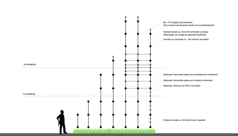standaard systemen klimhulp - Carl Stahl Green Walls