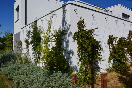 Groene gevel inspiratie - Carl Stahl Green Walls